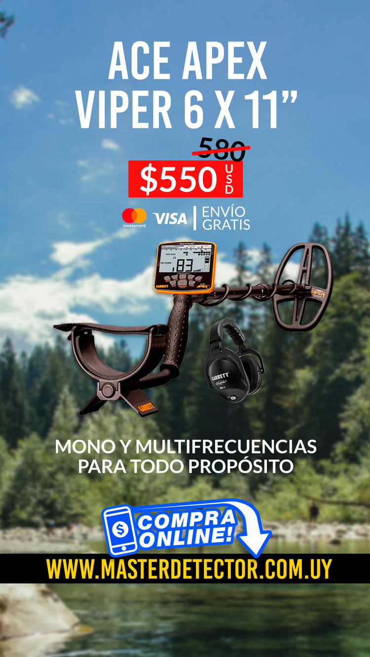 Master Detector Uruguay